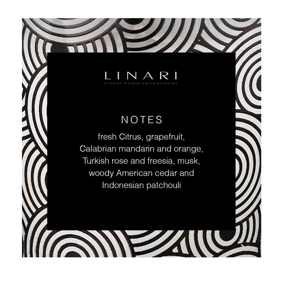 LINARI Sasso Diffuser + Reeds: Official Stockist