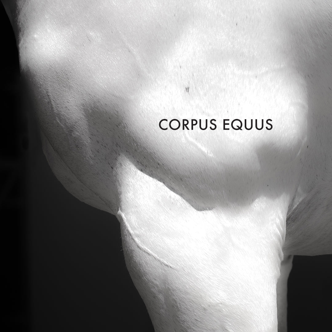 Naomi Goodsir Corpus Equus Eau de Parfum: Official Stockist