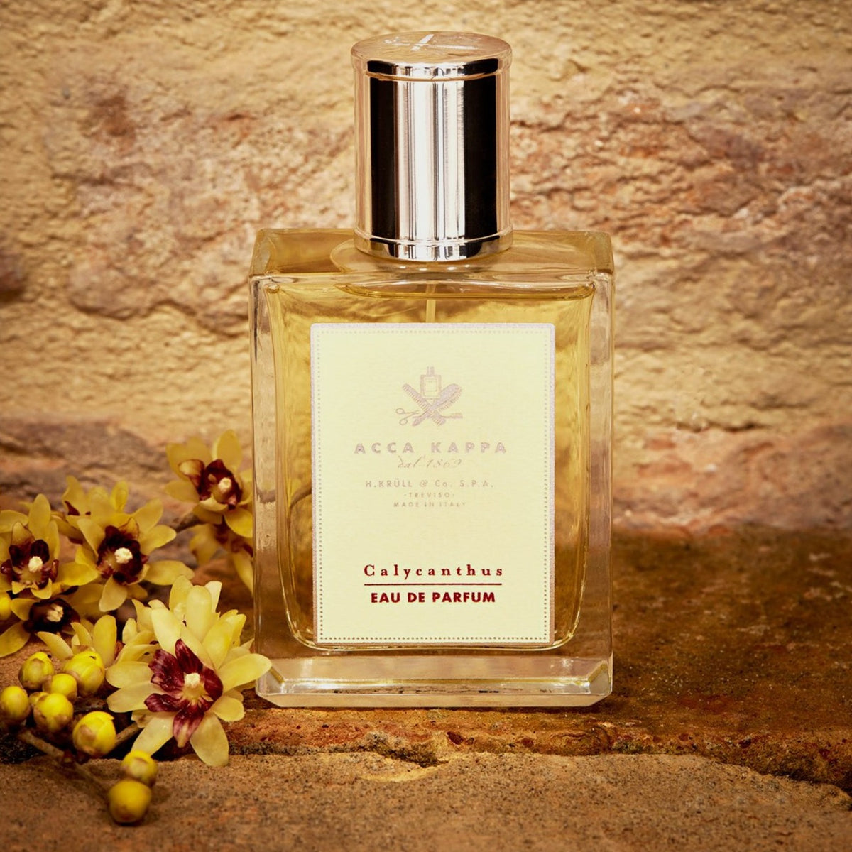 Acca Kappa Calycanthus Eau de Parfum: Official Stockist