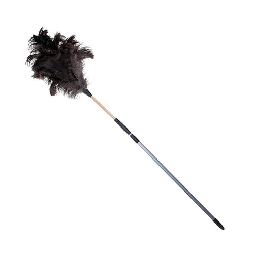 Redecker Ostrich Feather Duster - Telescopic Handle: Official Stockist